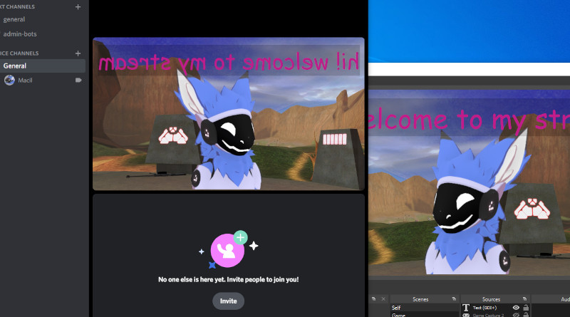 Unmirroring Discord's Webcam Preview - macil.tech